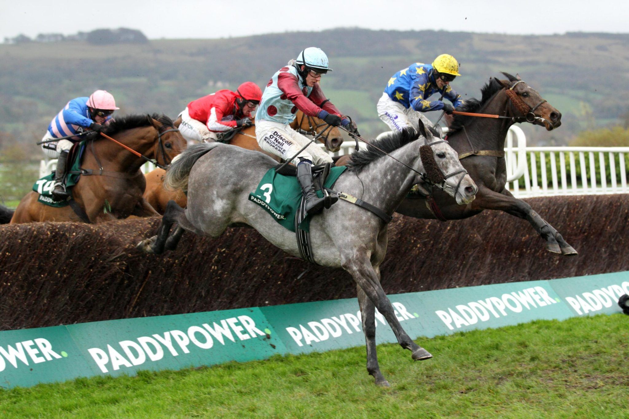 Paddy Power Horse Racing Enjoy the Best in Horse Racing Betting